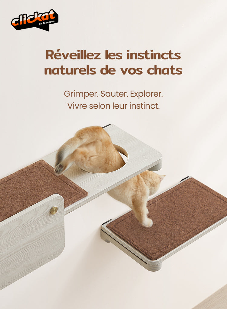 Arbres à chat muraux | Clickat by Feandrea