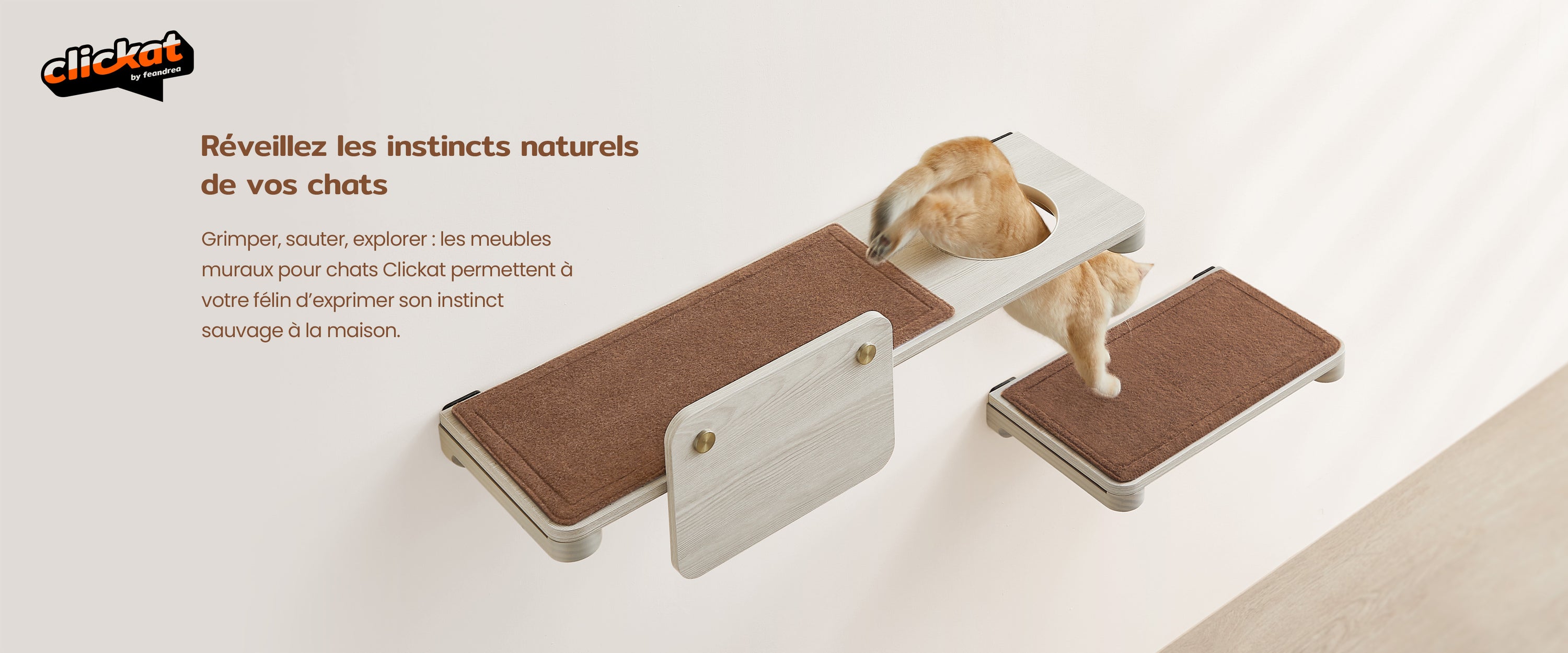 Arbres à chat muraux | Clickat by Feandrea