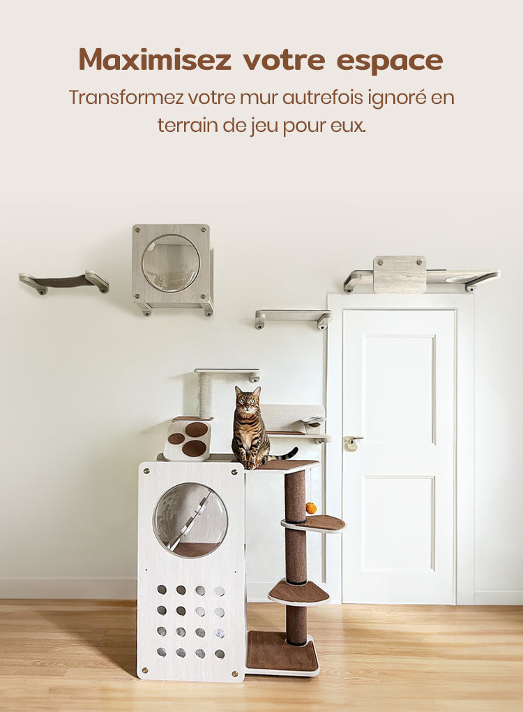 Arbres à chat muraux | Clickat by Feandrea