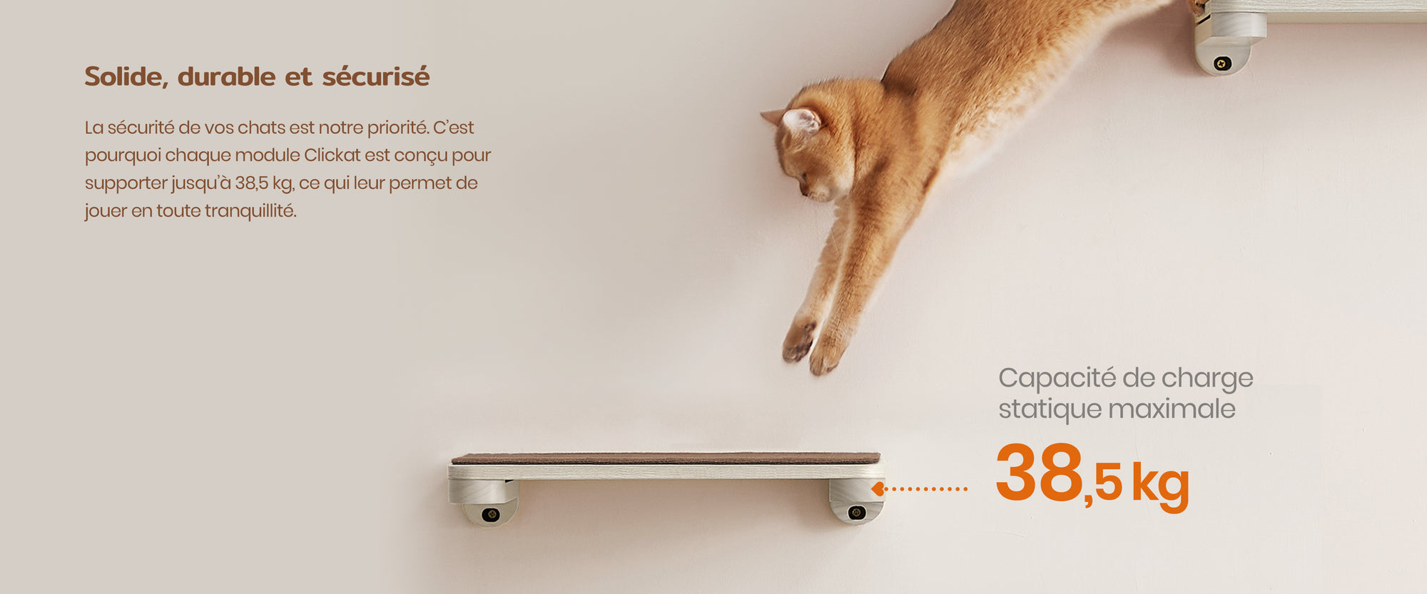 Arbres à chat muraux | Clickat by Feandrea