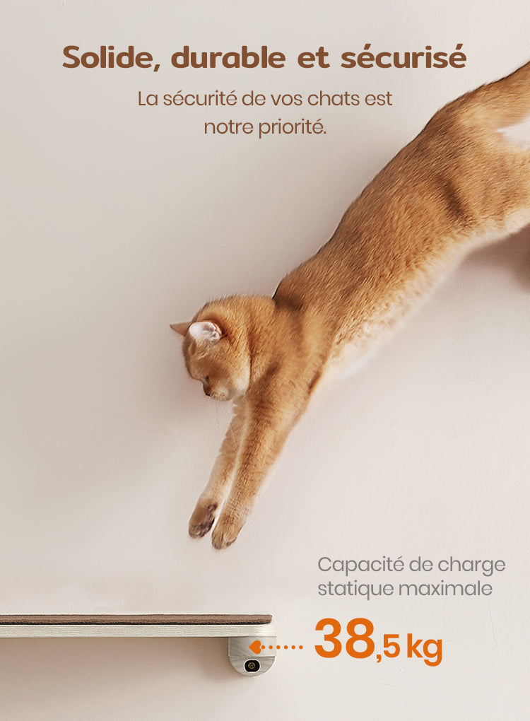 Arbres à chat muraux | Clickat by Feandrea